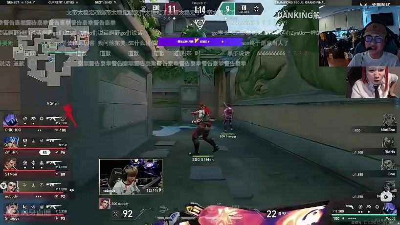 EDG zmjjkk-搜索-专找直播-虎牙直播