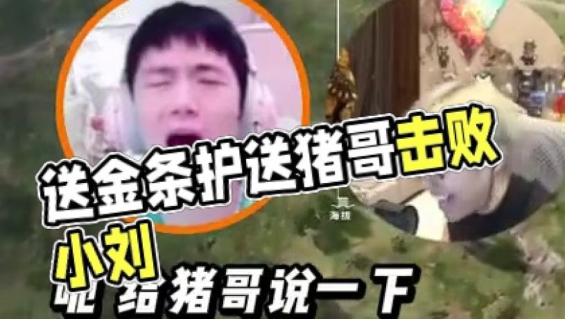 pigff-搜索-专找直播-虎牙直播